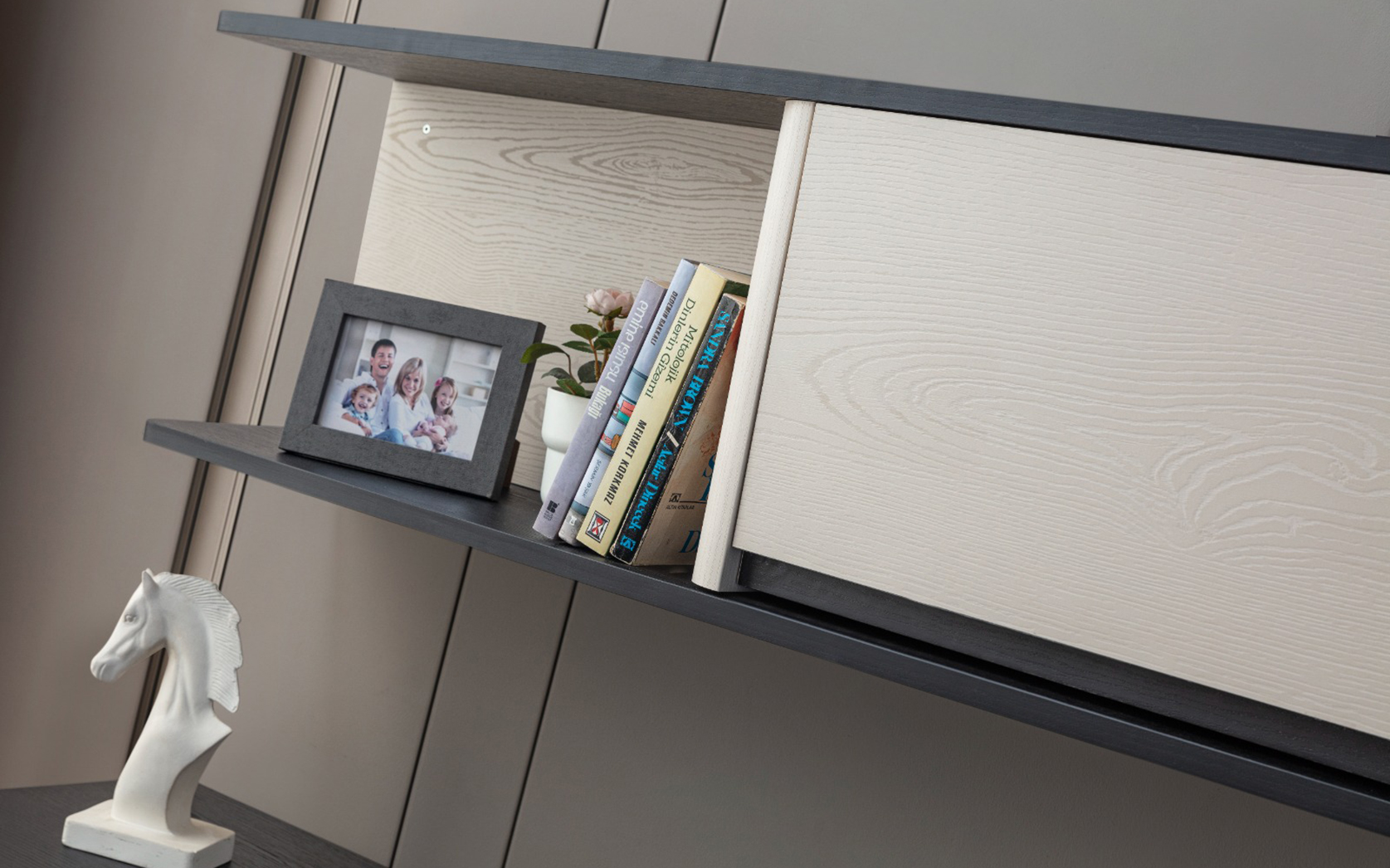 Tonza Home & Tonza Furniture